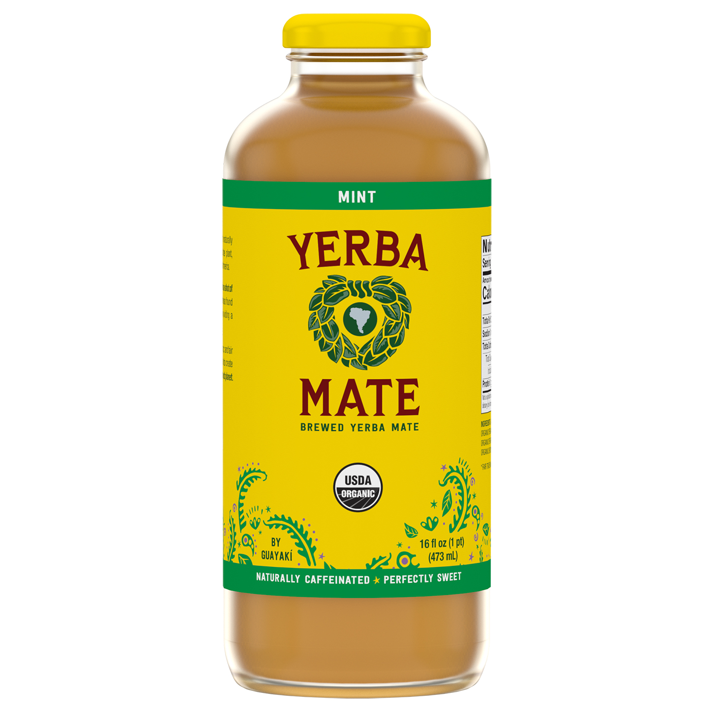 Guayaki Mint Yerba Mate 16oz Bottle - Blue Dog Beverage